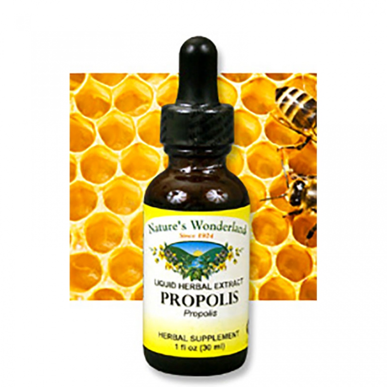 Propolis Liquid Extract, 1 fl oz / 30 ml (Nature’s Wonderland ...