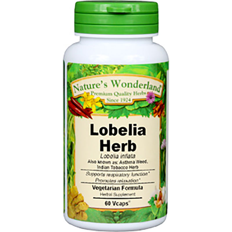 Lobelia Capsules – 500 mg, 60 Vcaps – Homeward Publishing Ministries
