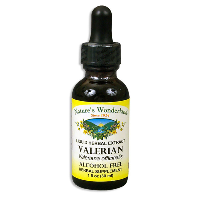 Valerian Root Extract, Alcohol Free, 1 fl oz / 30ml (Nature’s ...